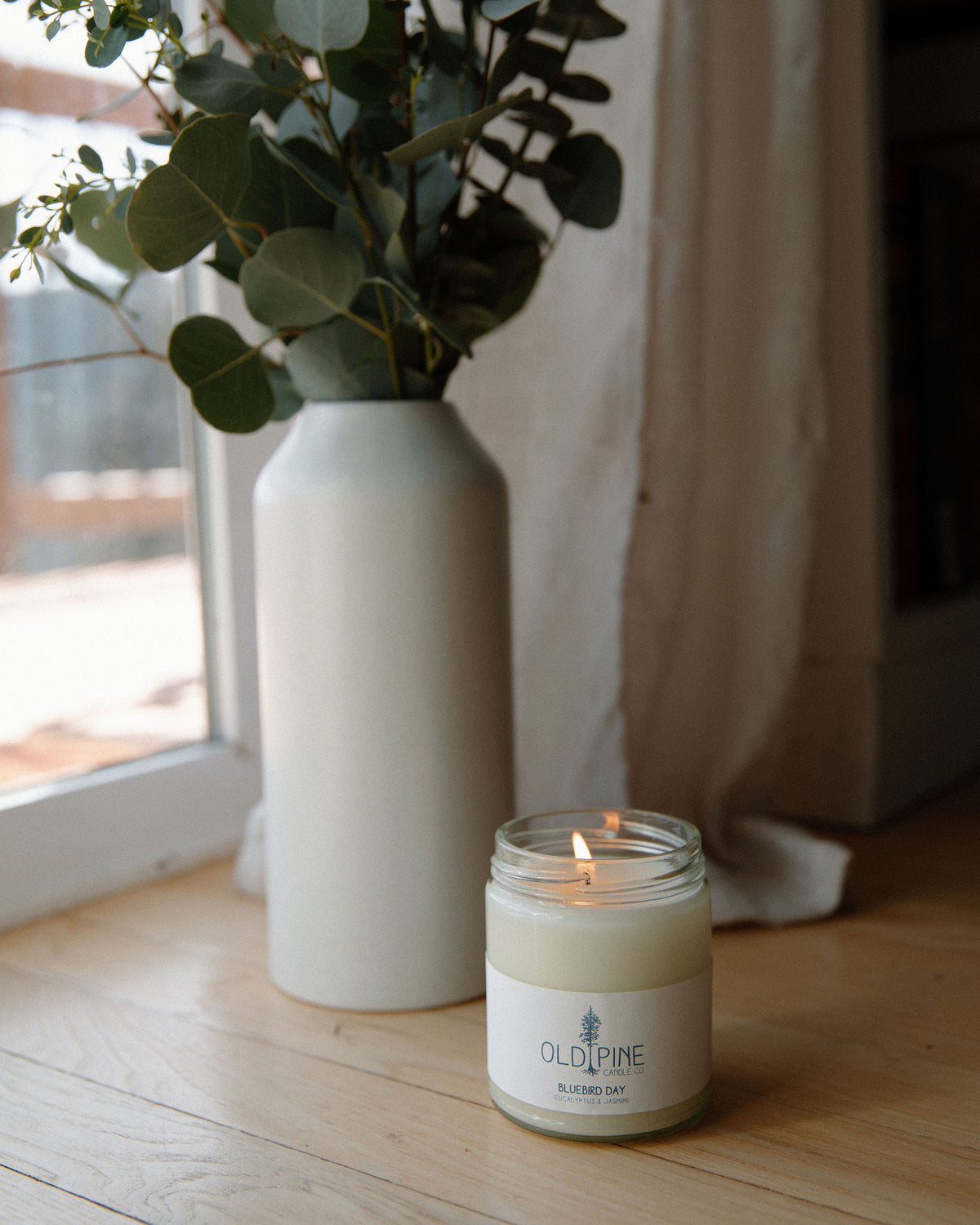 March Candle of the Month – Old Pine Candle Co.
