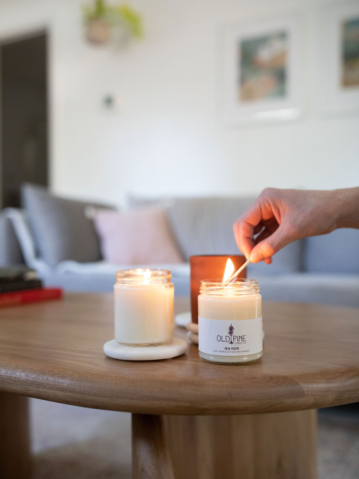 January Candle of the Month – Old Pine Candle Co.